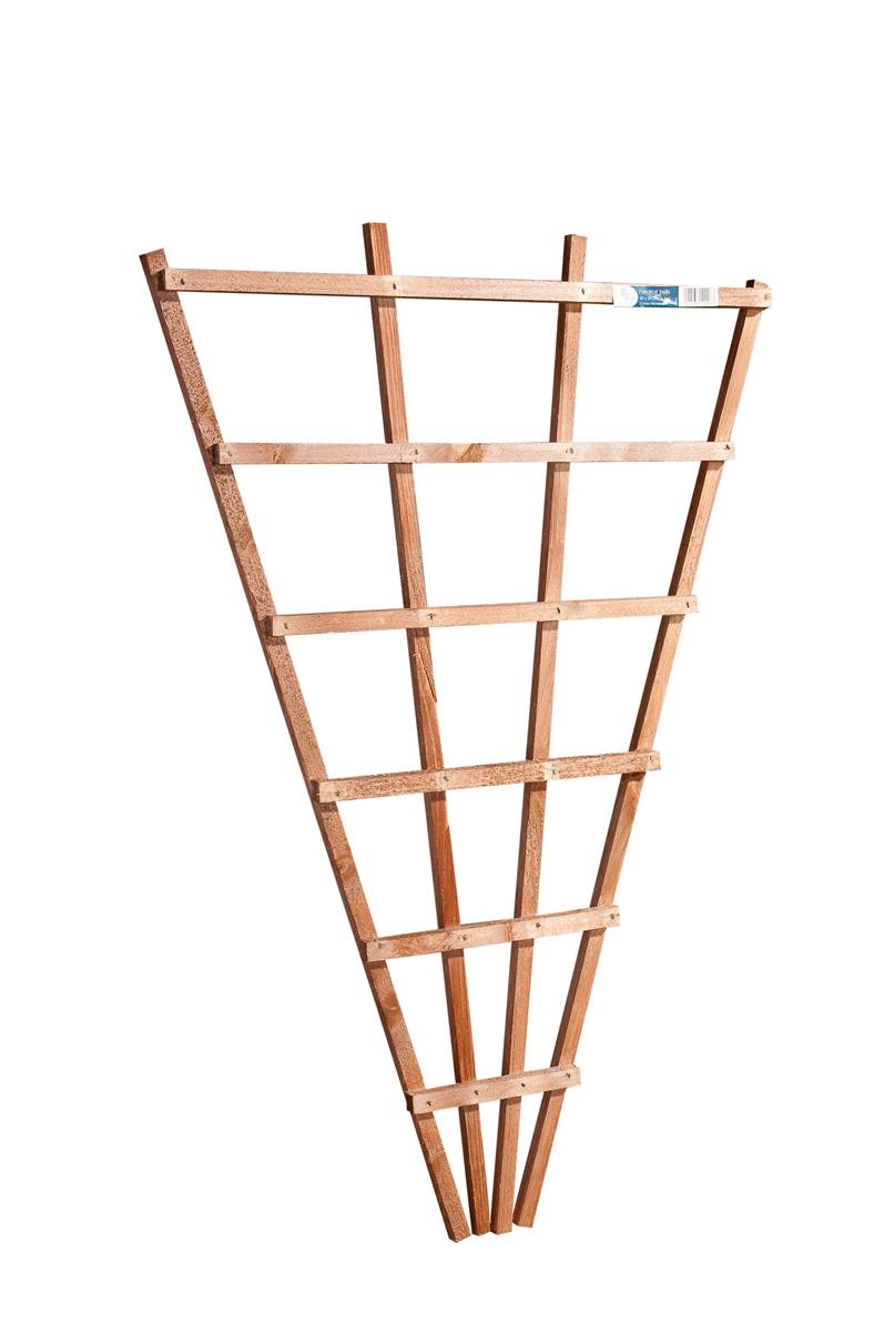 Fan Trellis – East Ferry Timber